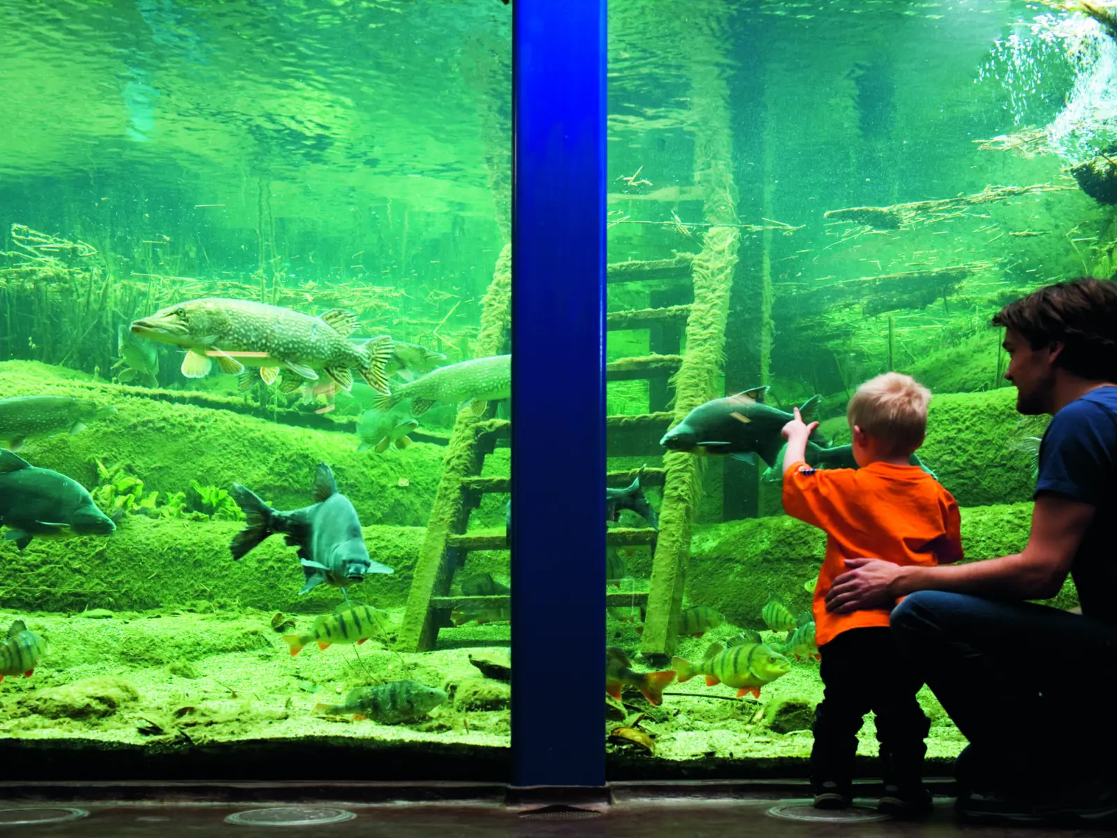 Kulturaktiviteter og byliv | Ly Outdoor Camp